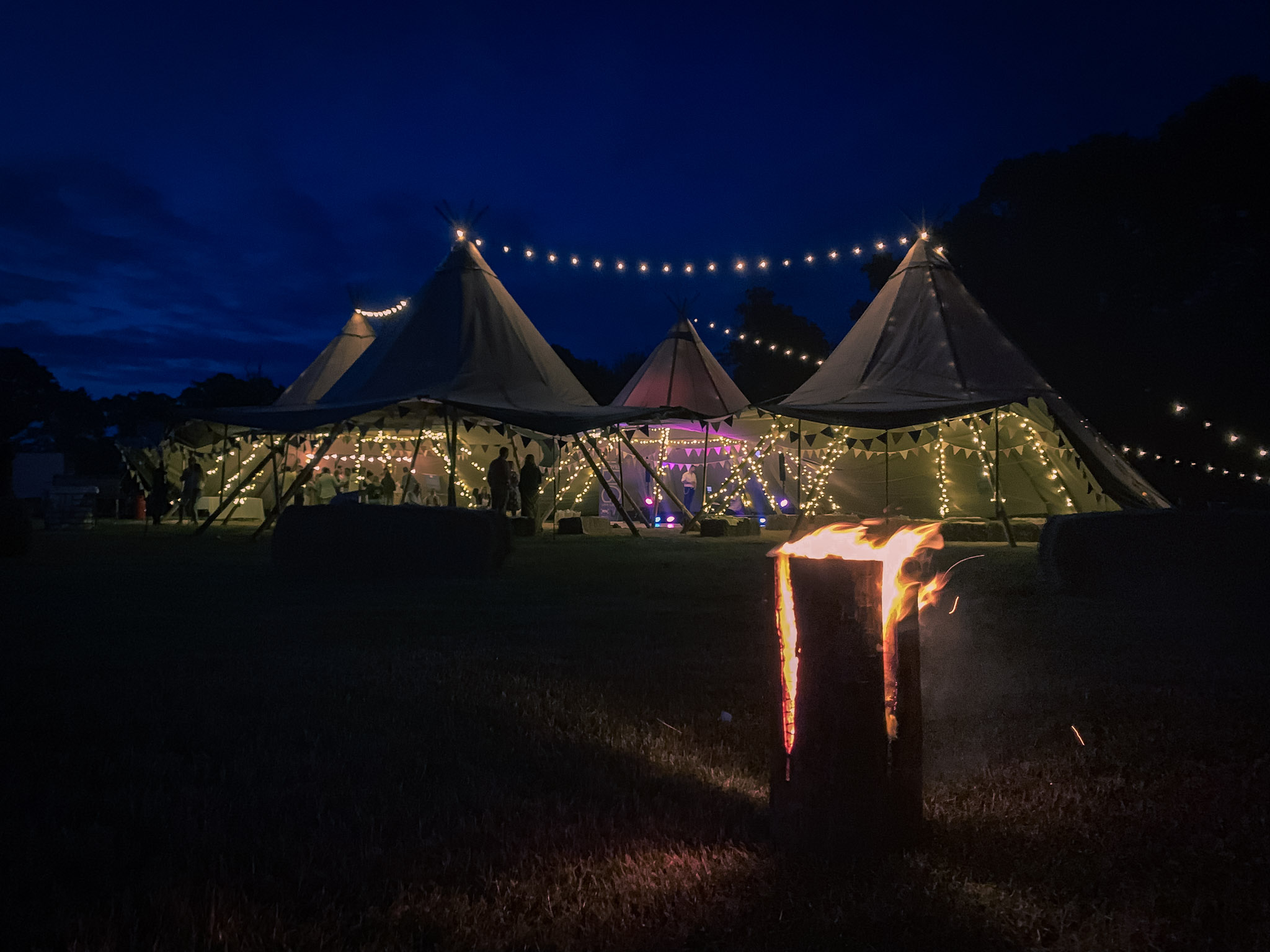 Situ Summer Party 2019! | Our First Summer Event