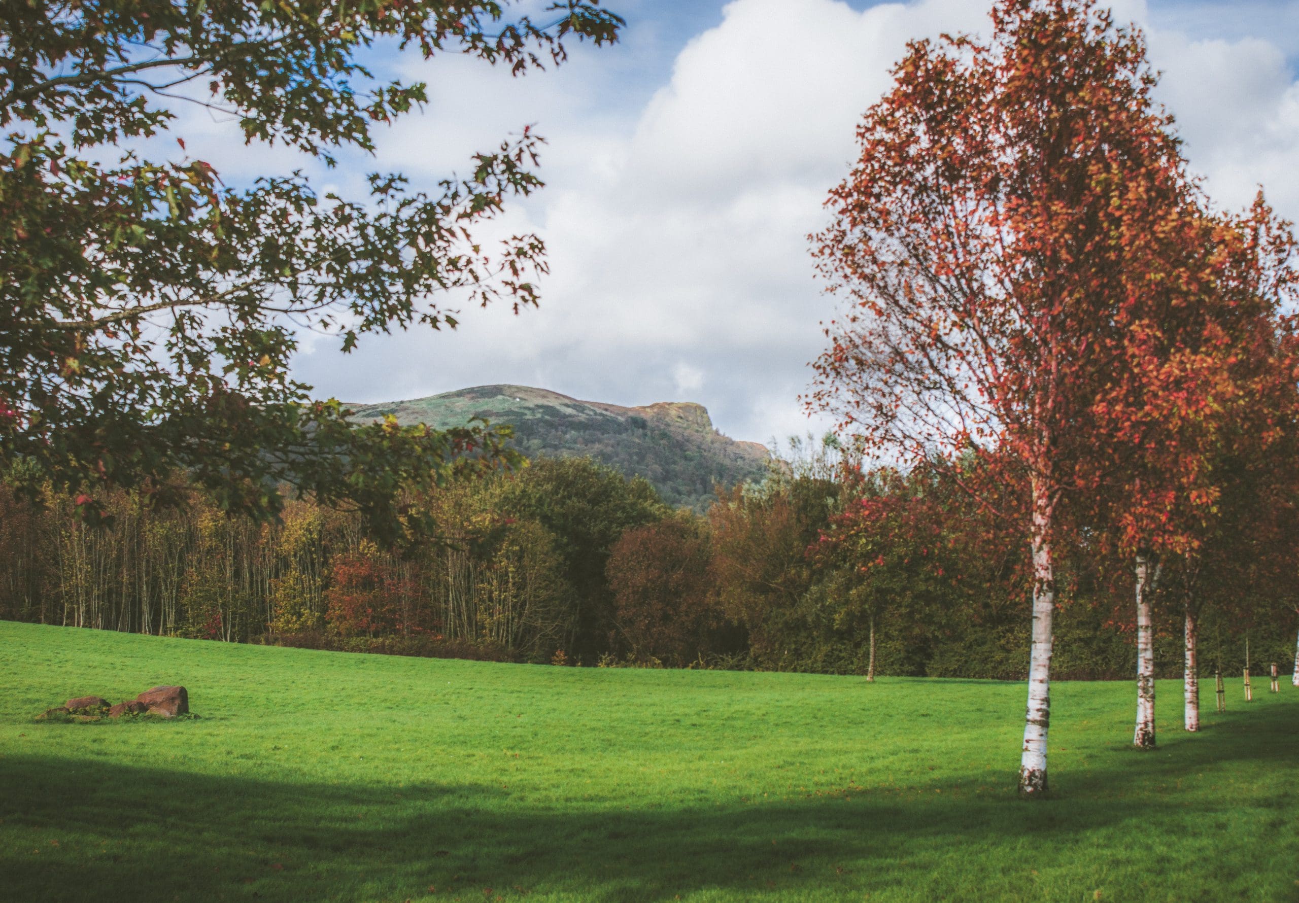 A walk through the best parks in Belfast | Situ